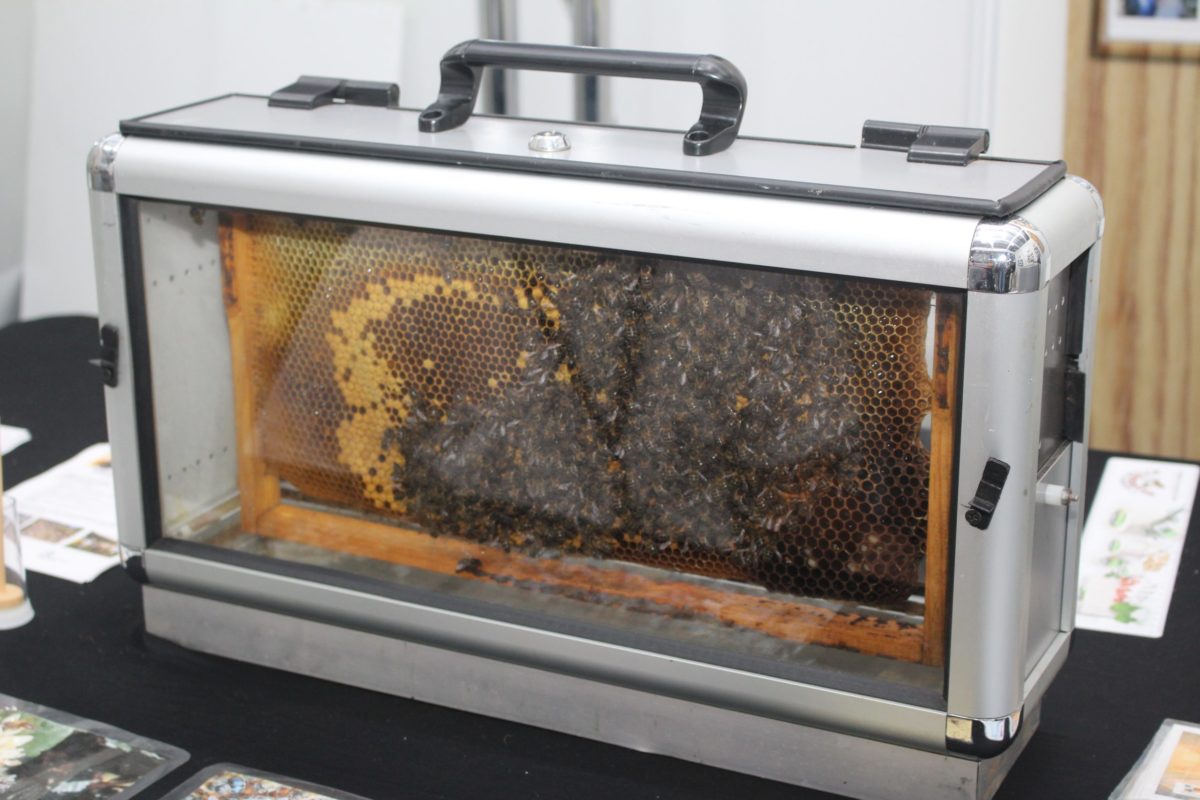 Visitamos el stand de la Escuela de Apicultura de GC – apigranca.es